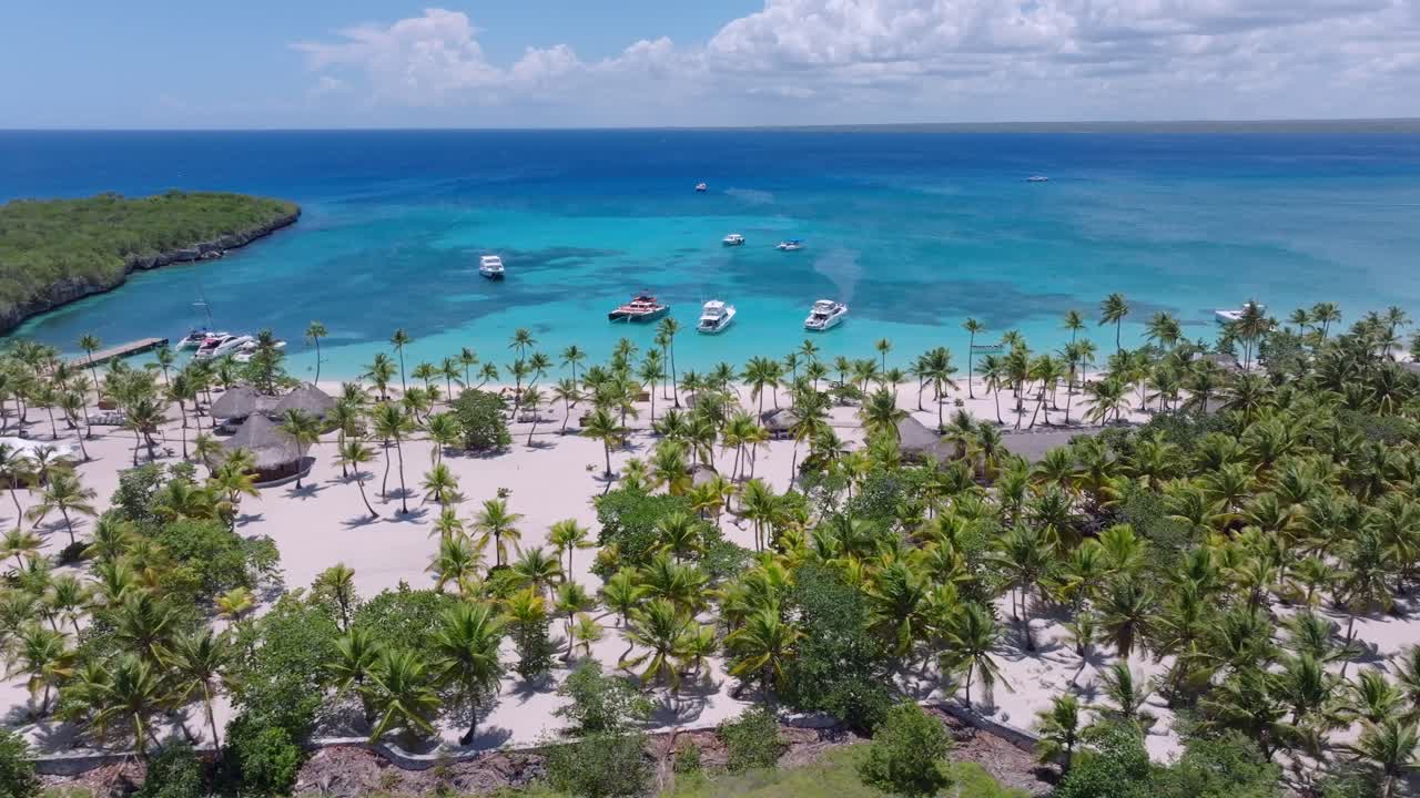 Premium stock video - Aerial trucking shot of tropical palm trees ...