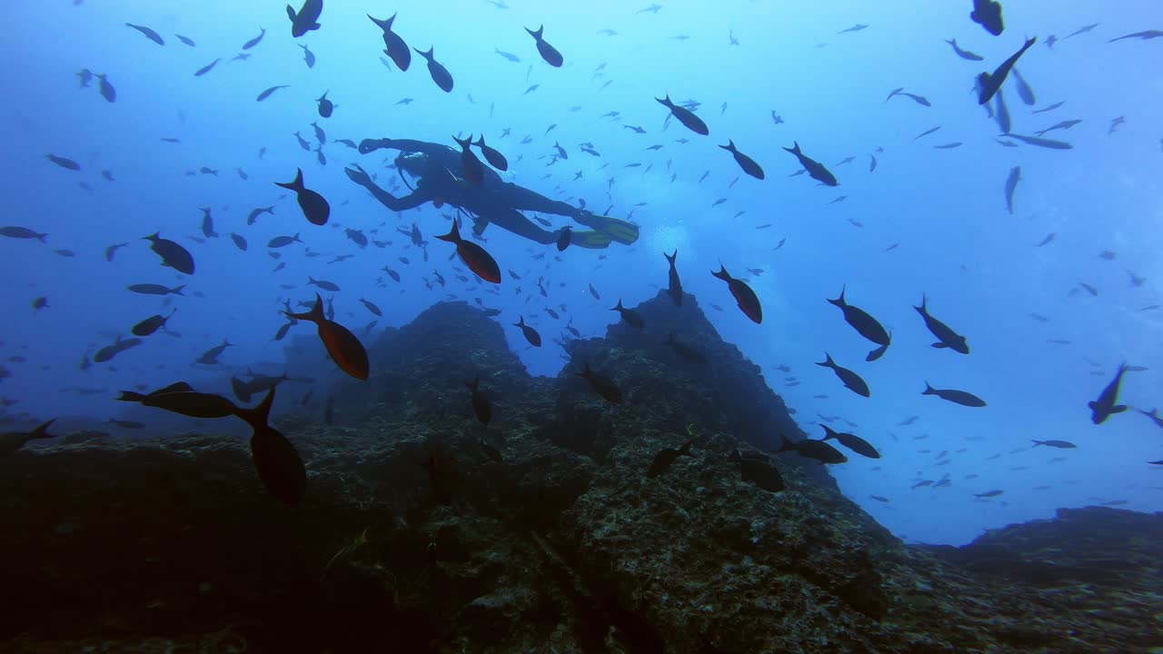 Premium stock video - A scuba diver holds on to the reef in strong current
