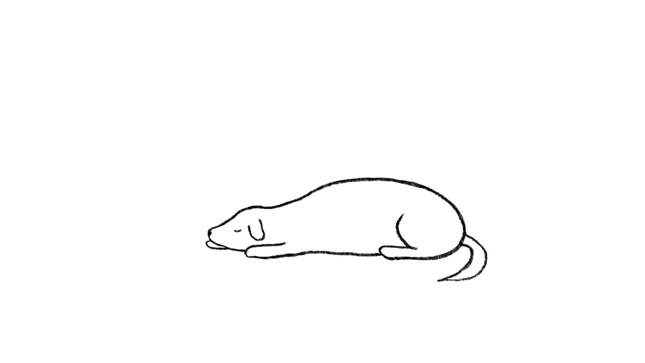 Cute Dog Sleeping Deeply, Drawn 2D Animation Free Stock Video Footage ...