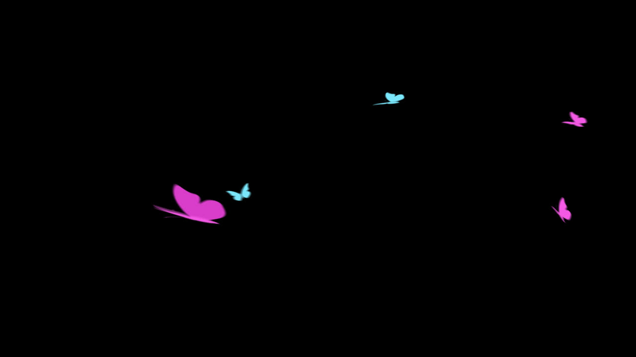 Premium stock video - Loop animation of butterfly flying transparent ...