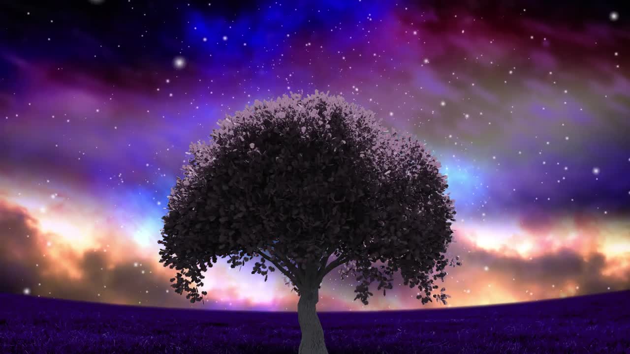 Premium stock video - Animation of tree over sky with clouds and stars