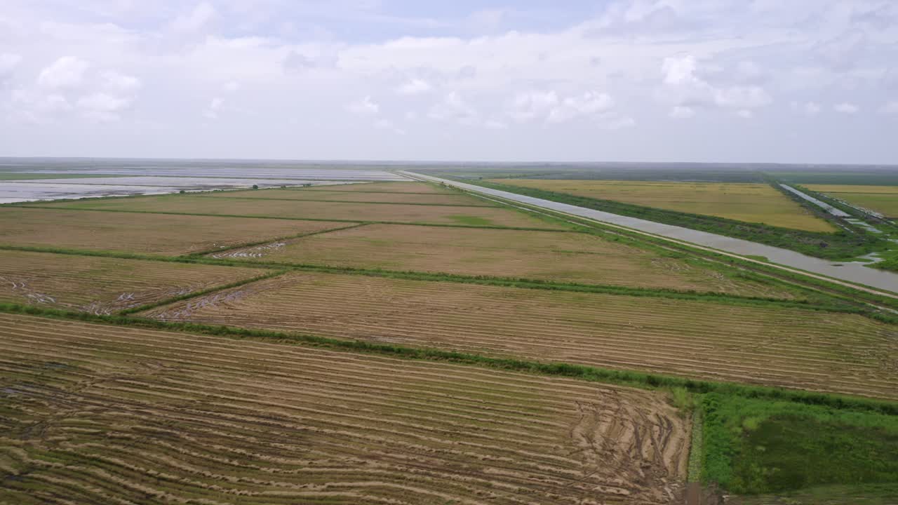 Premium stock video - Aerial: big open rice fields with tractor tire ...