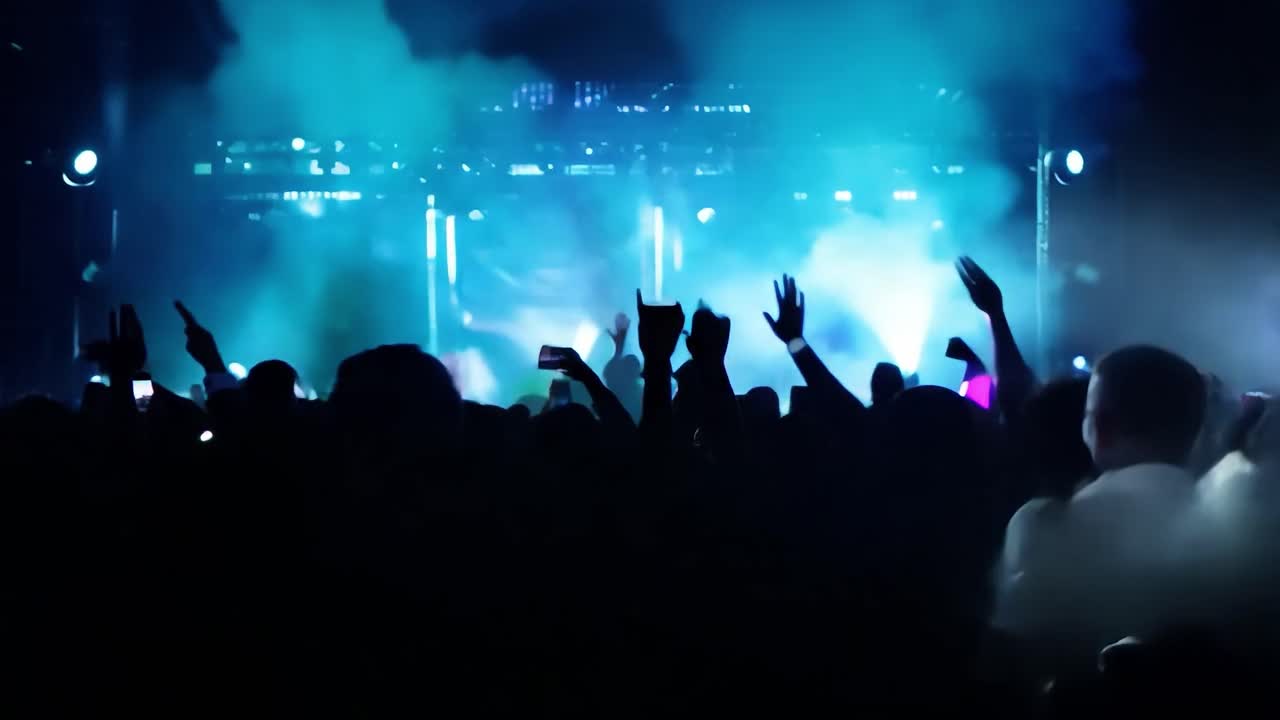 Premium stock video - Crowd at a music concert