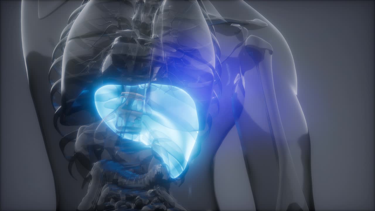 人体肝脏放射学检查 | freepik