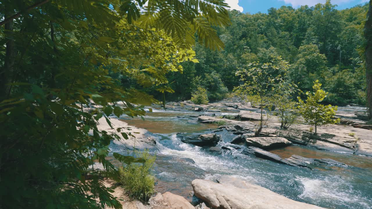 A beautiful sweeping view of a steady river embedded within a thick ...