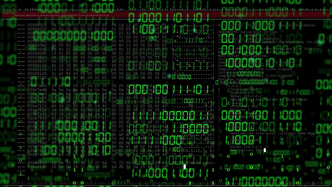 Premium stock video - Animation of digital data processing over binary coding