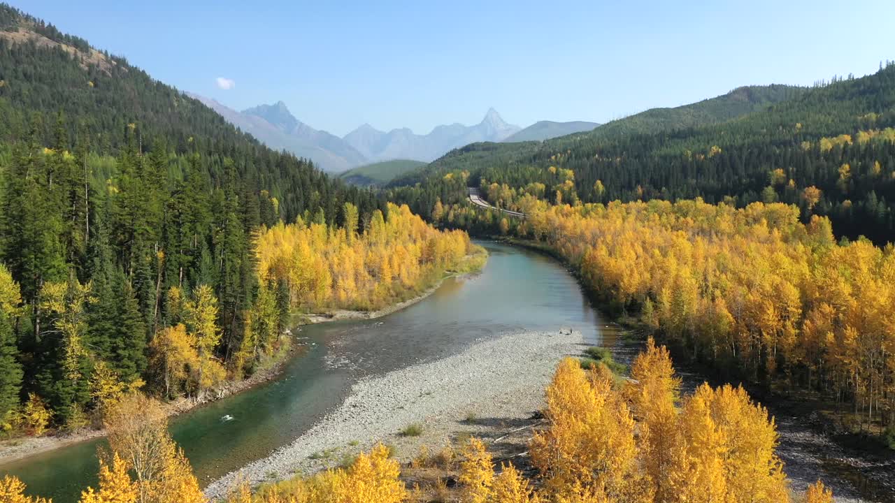 Yellow aspen trees in the forest with flathead river in glacier ...