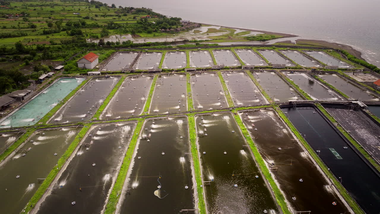 Shrimp farming ponds in bali on north coast, indonesia aquafarming ...