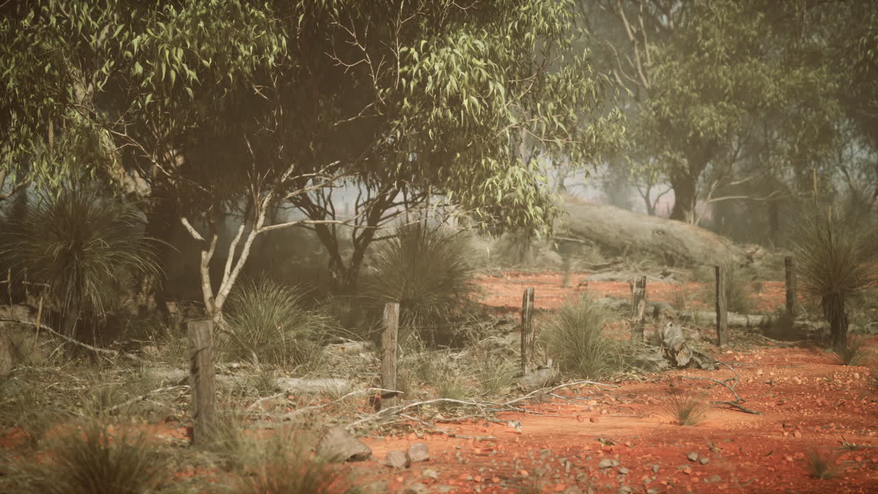 Whispering path a mystical journey through the enchanted australian ...