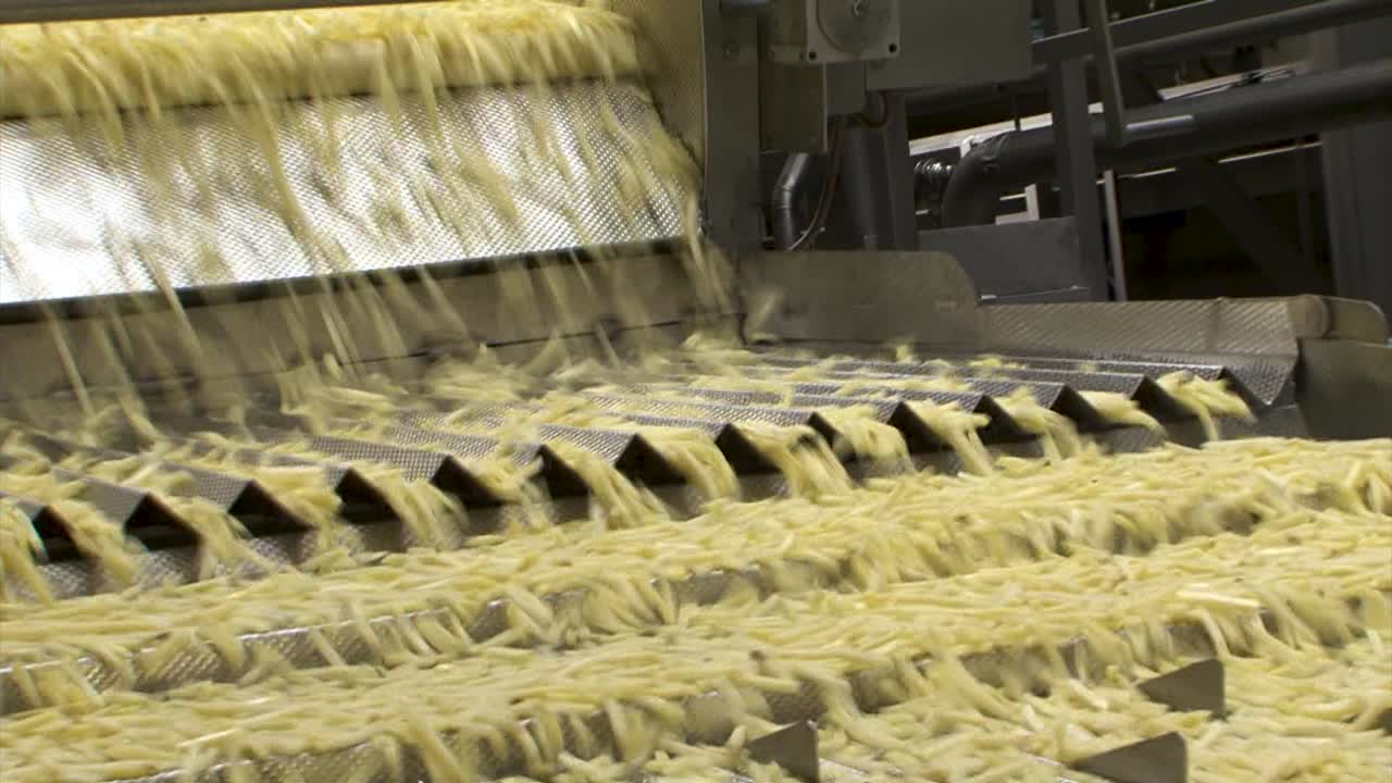 Premium stock video - Travel out of french fries on conveyor line ...