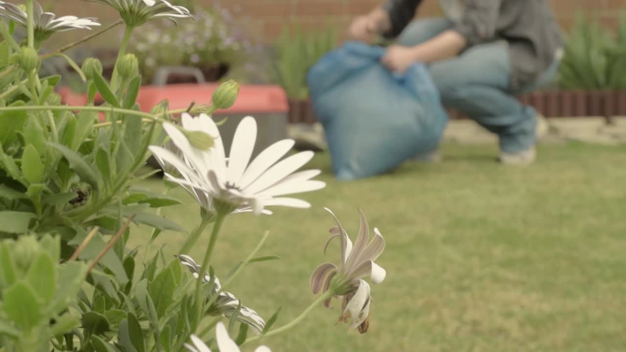Premium stock video - Gardener bagging up grass cuttings after mowing ...