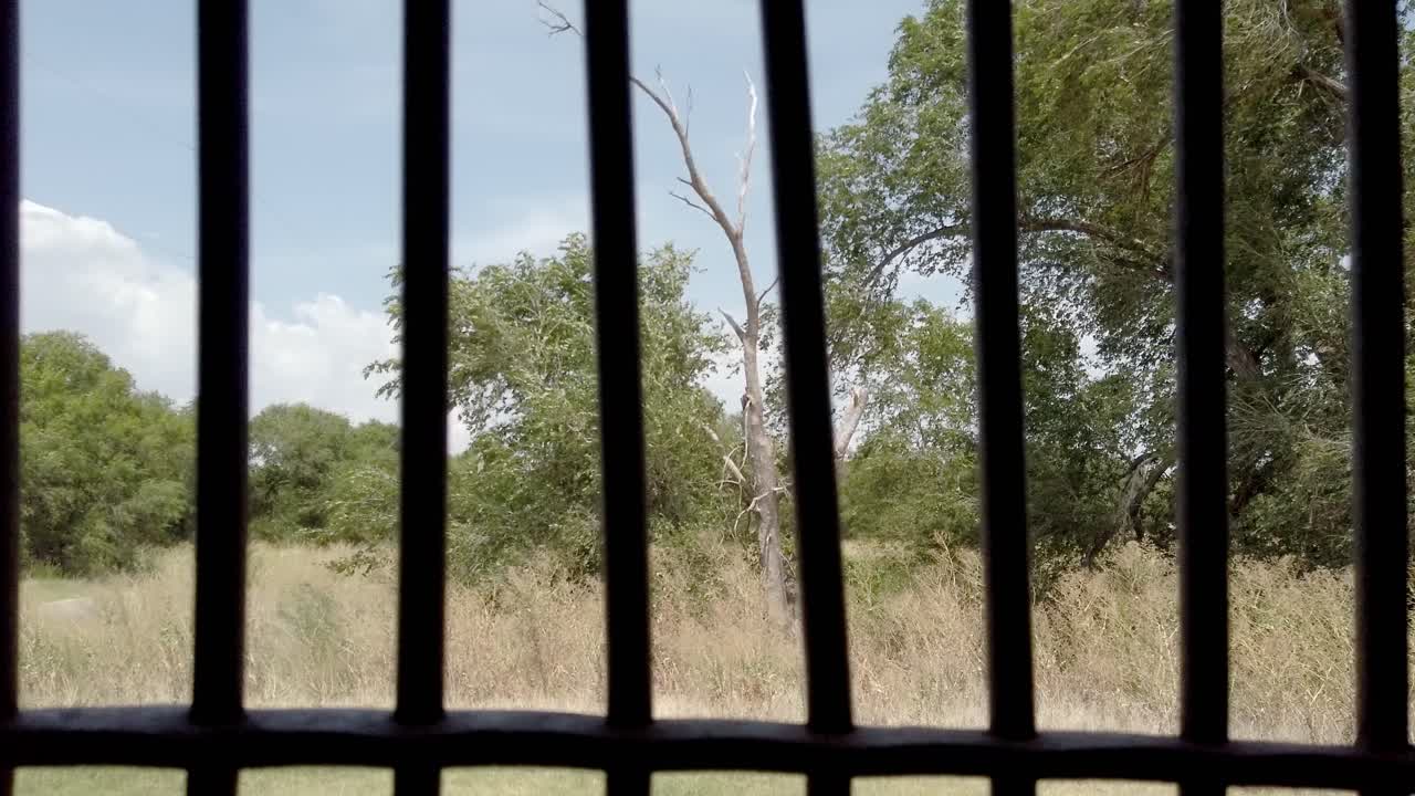 View Through Jail Bars | Premium Stock Video Footage
