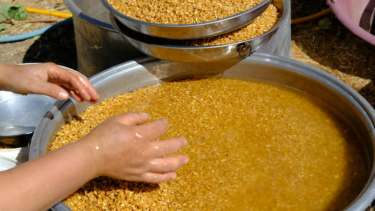 Premium stock video - Washing wheat cleaning