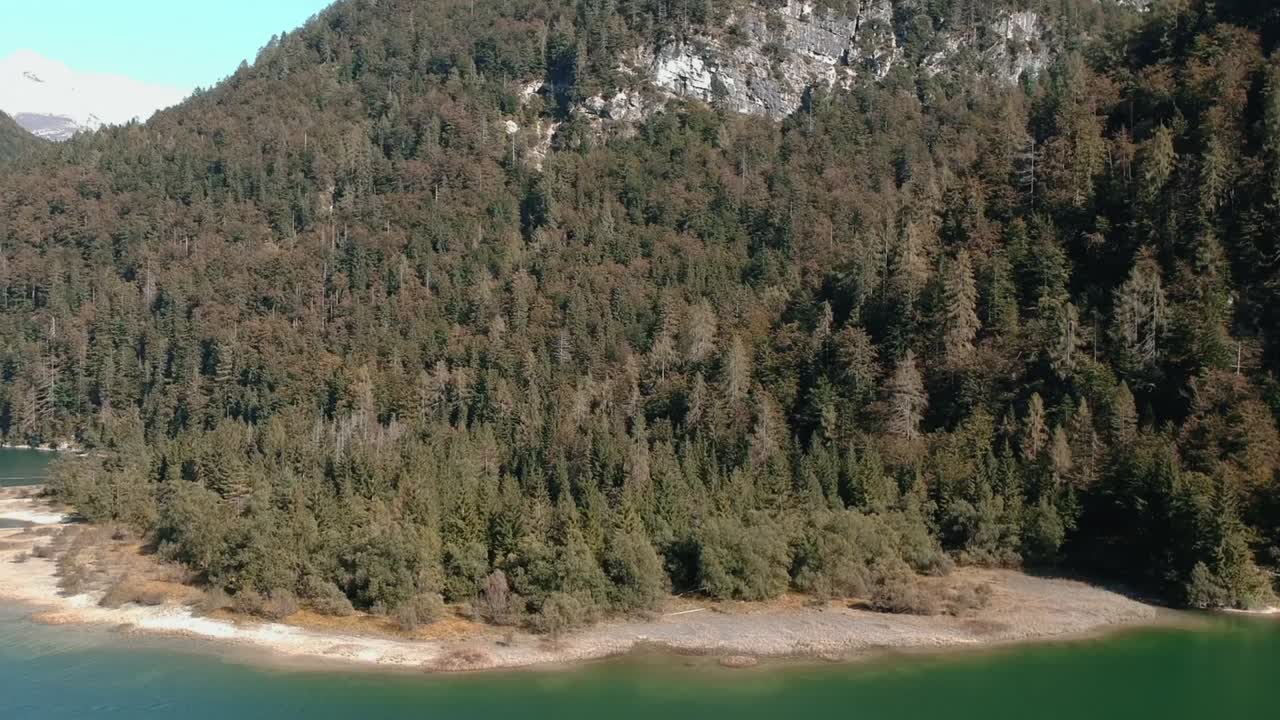 Forest coastline of a lake captured by a drone | Premium Stock Video ...