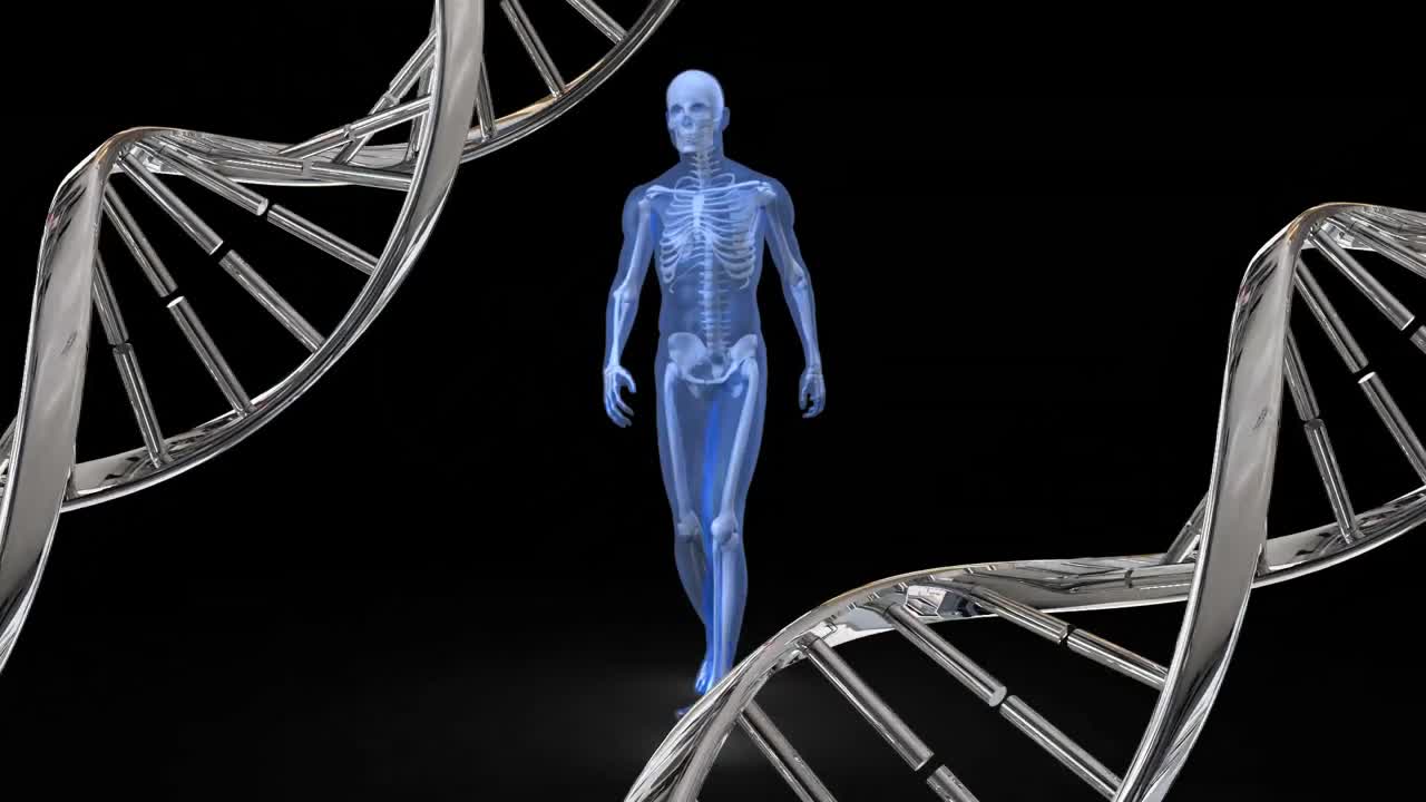 Premium stock video - Human anatomy walking and dna