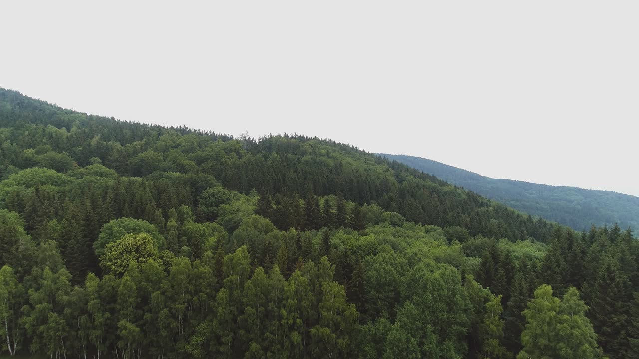 Free stock video - Flying over the beautiful forest trees landscape ...
