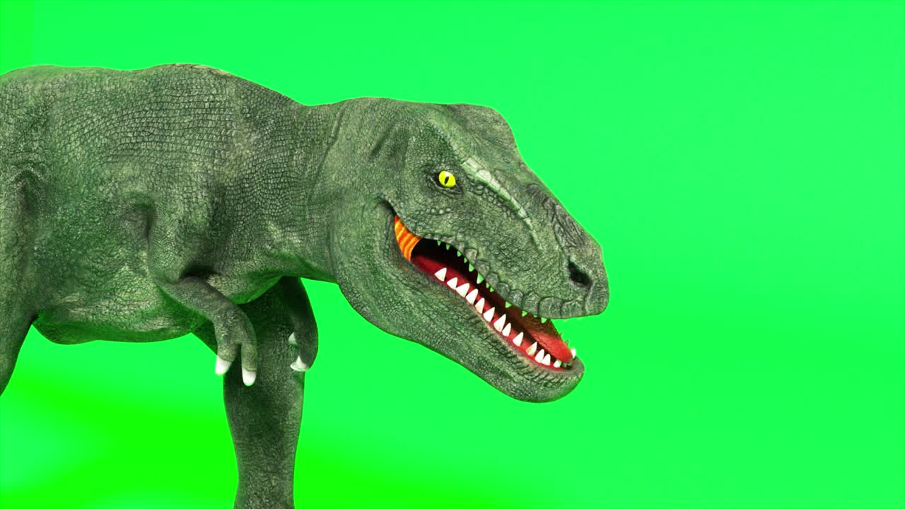 Tyrannosaurus Rex Green Screen Premium Stock Video Footage