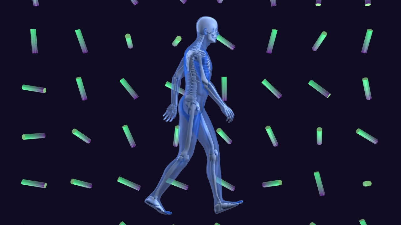 animation of human body model and shapes over dark background | freepik