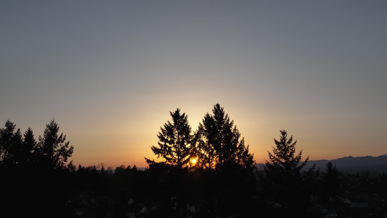 Aerial shot weaving through silhouetted trees with a warm sunrise in ...