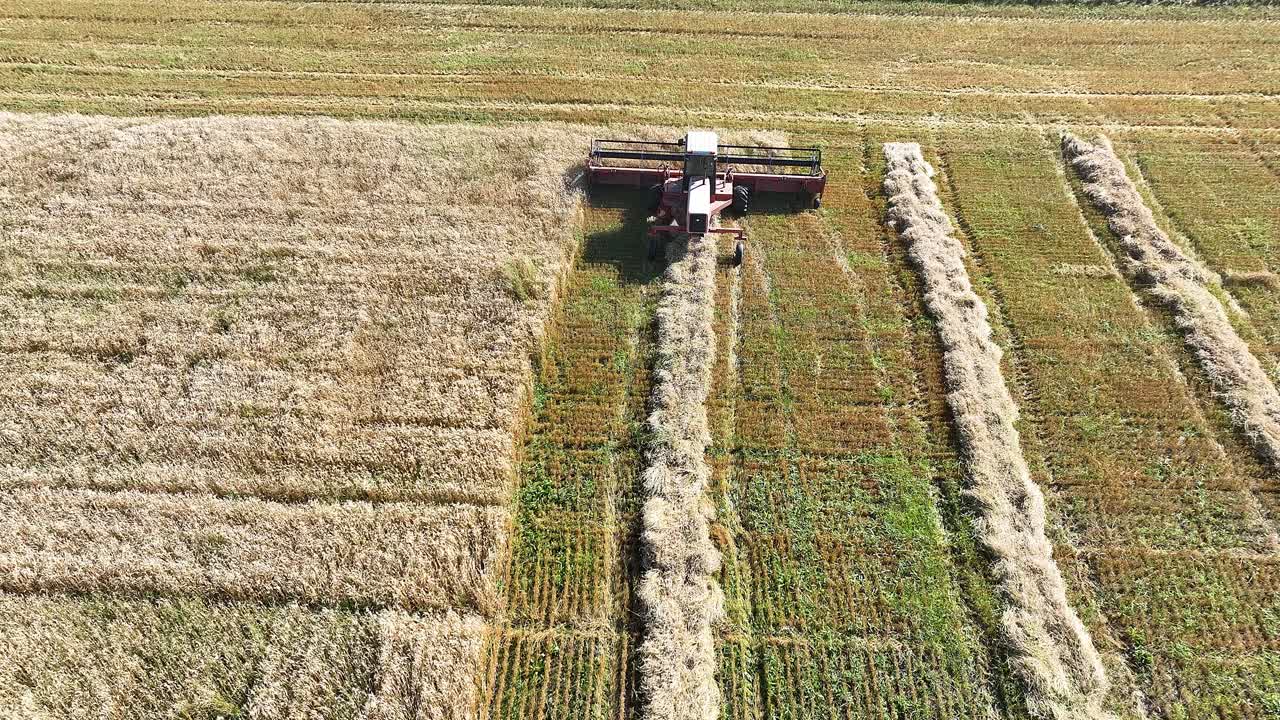 Premium stock video - View from above and behind a swather as it comes ...