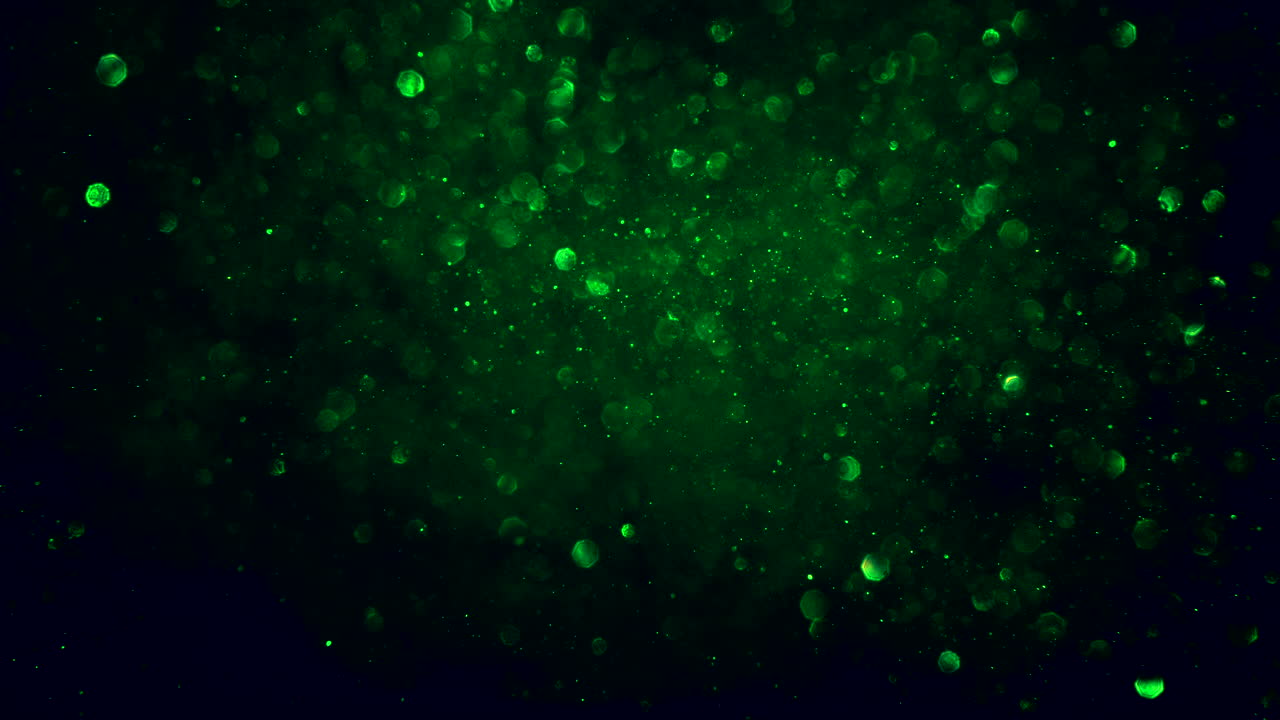 Premium stock video - Abstract bright green and black sparkly particle background with shiny ...