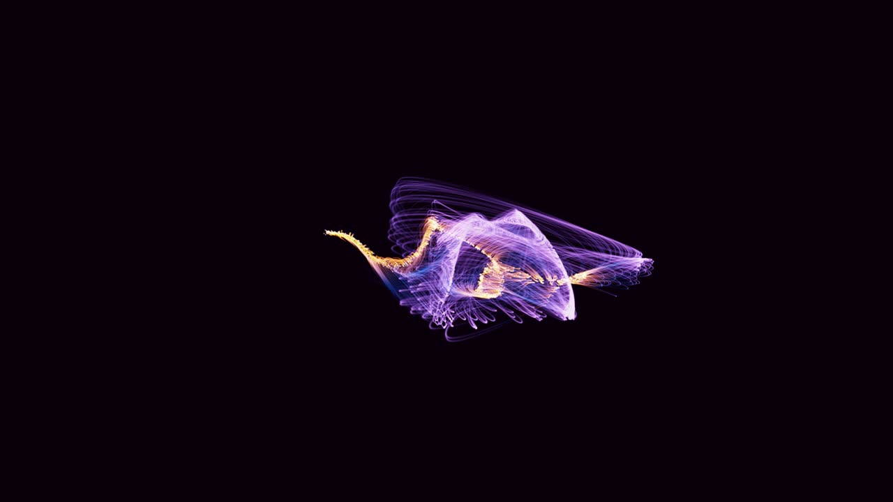 Dancing particle effect, 4K abstract animation with wavy lines and ...
