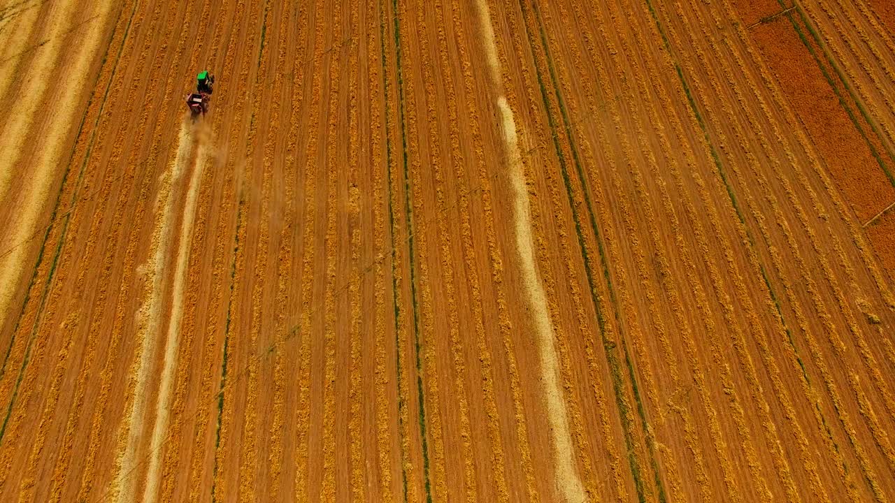 Premium stock video - Aerial birds eye view of a tractor dusting crops in a dry arid field