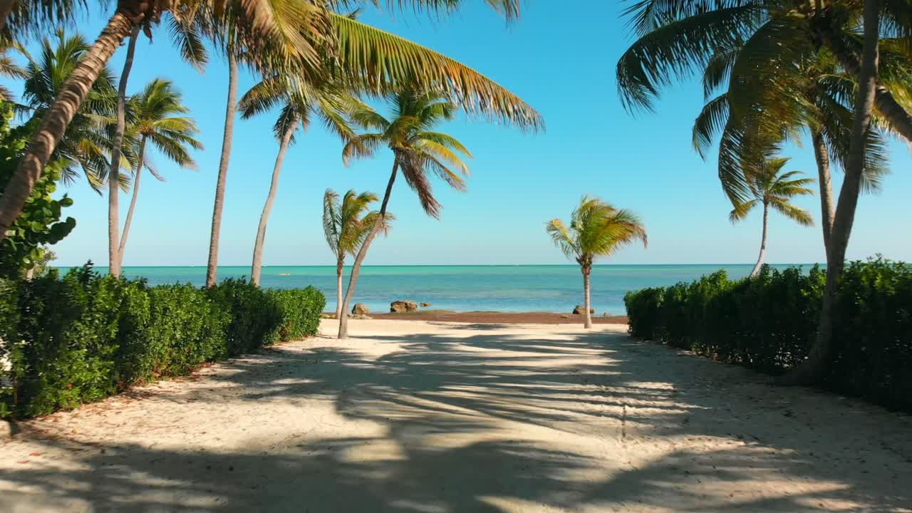 Aerial Of Beaches, Palm Trees, And The Ocean In One Of The Key Islands ...