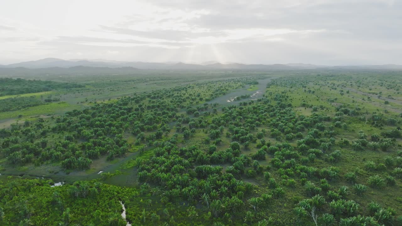 Premium stock video - Beautiful sunset in the african forest with rays ...