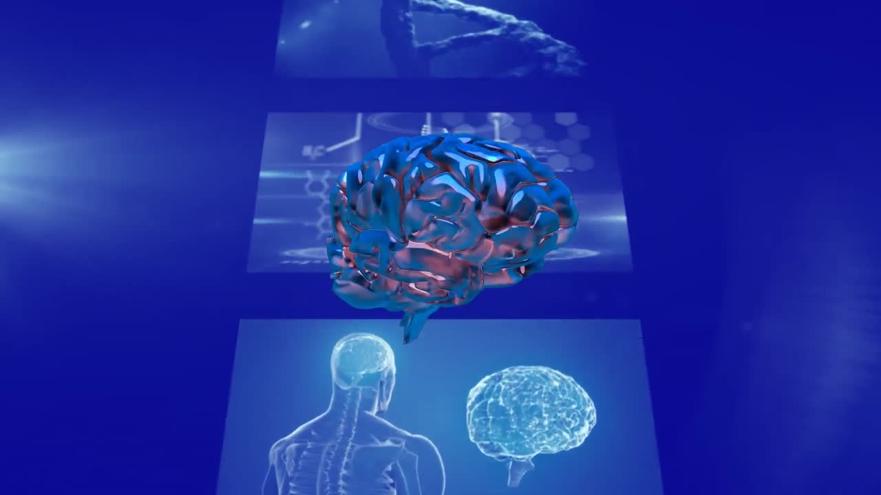 Animation Of 3D Rotating Brain With Scrolling Scientist Screens Free ...