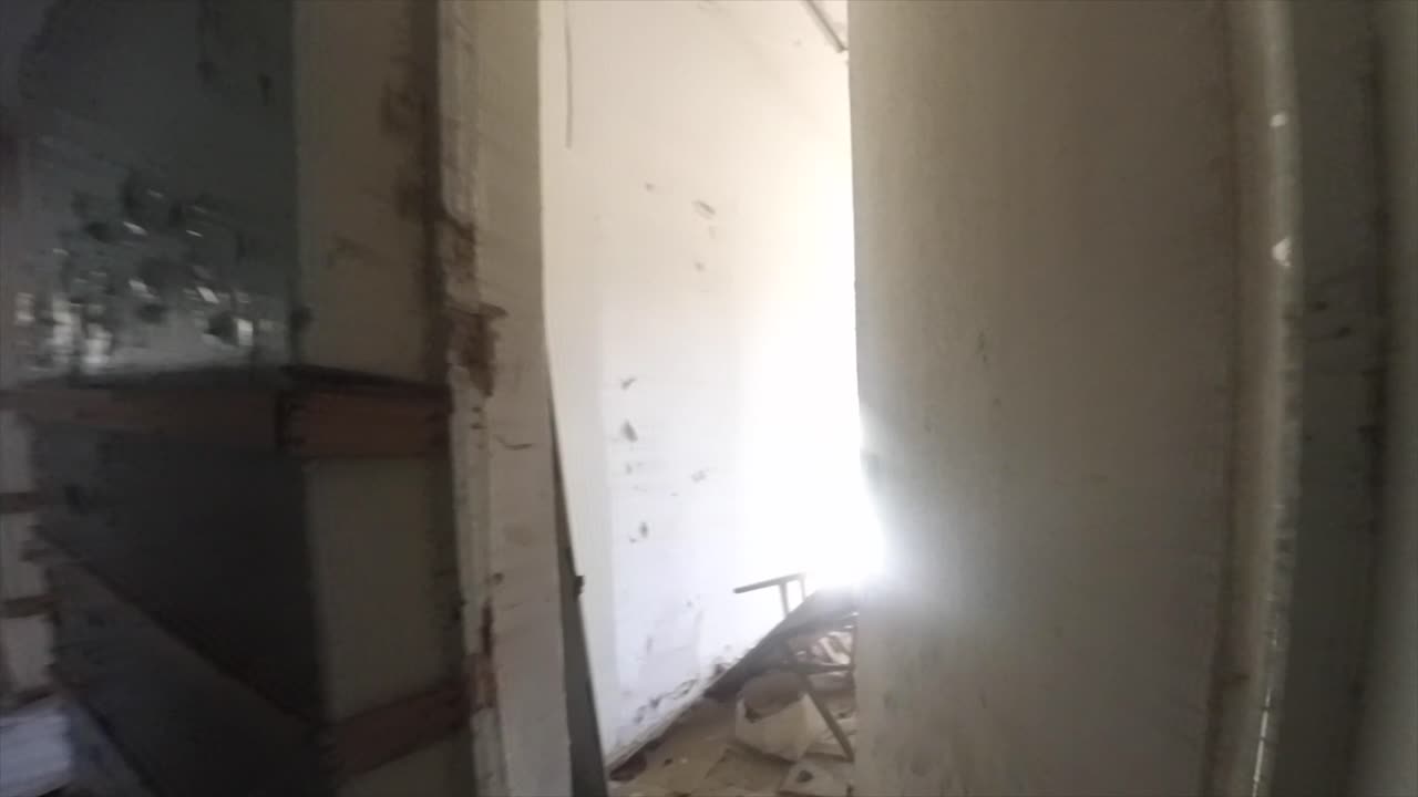 Chernobyl shoots from ground and above, Star Wormwood, Kopachi village ...