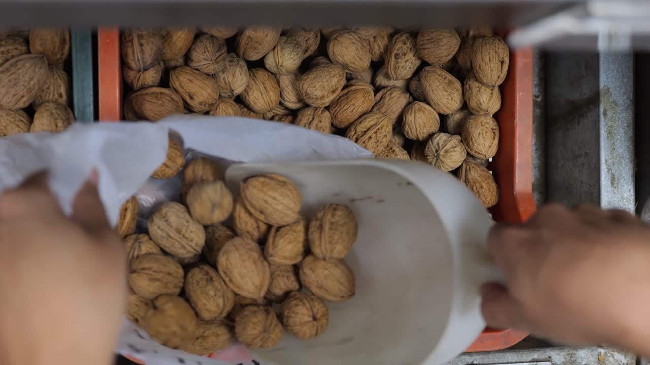 Shoppers Point Of View While Scooping Bulk Nuts From A Bin At The Store ...