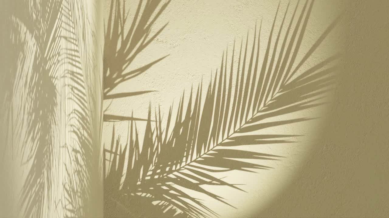 Premium stock video - Lime green textured wall with palm frond shadow ...