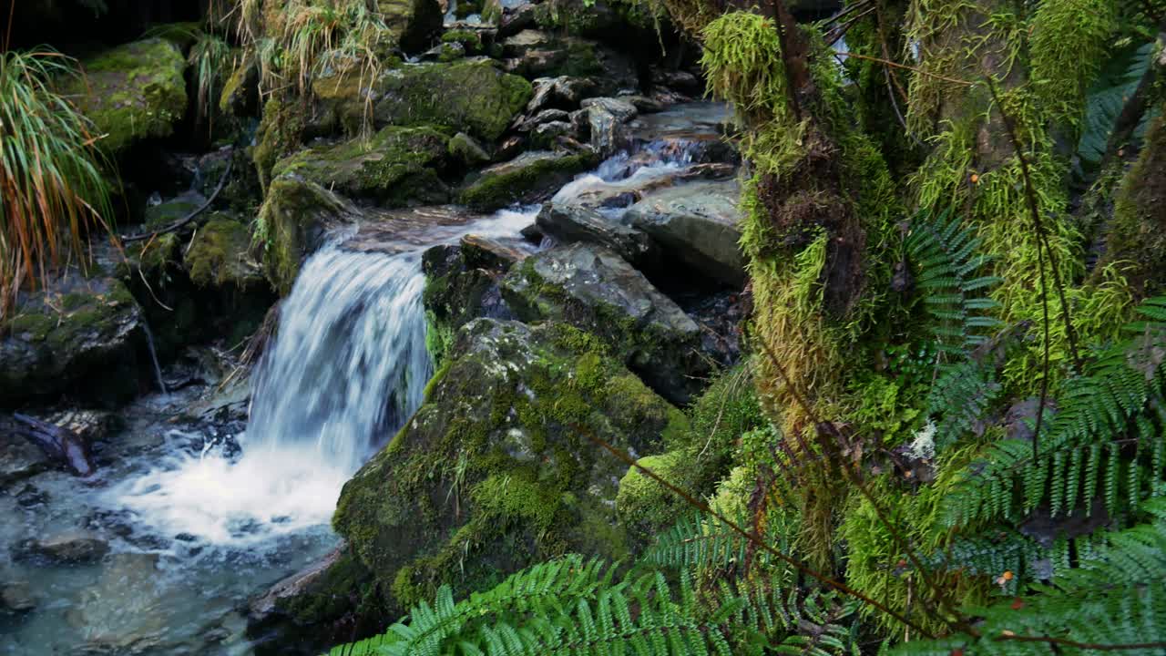 Close up pan shot of tropical Small Waterfall flowing in mossy and ...