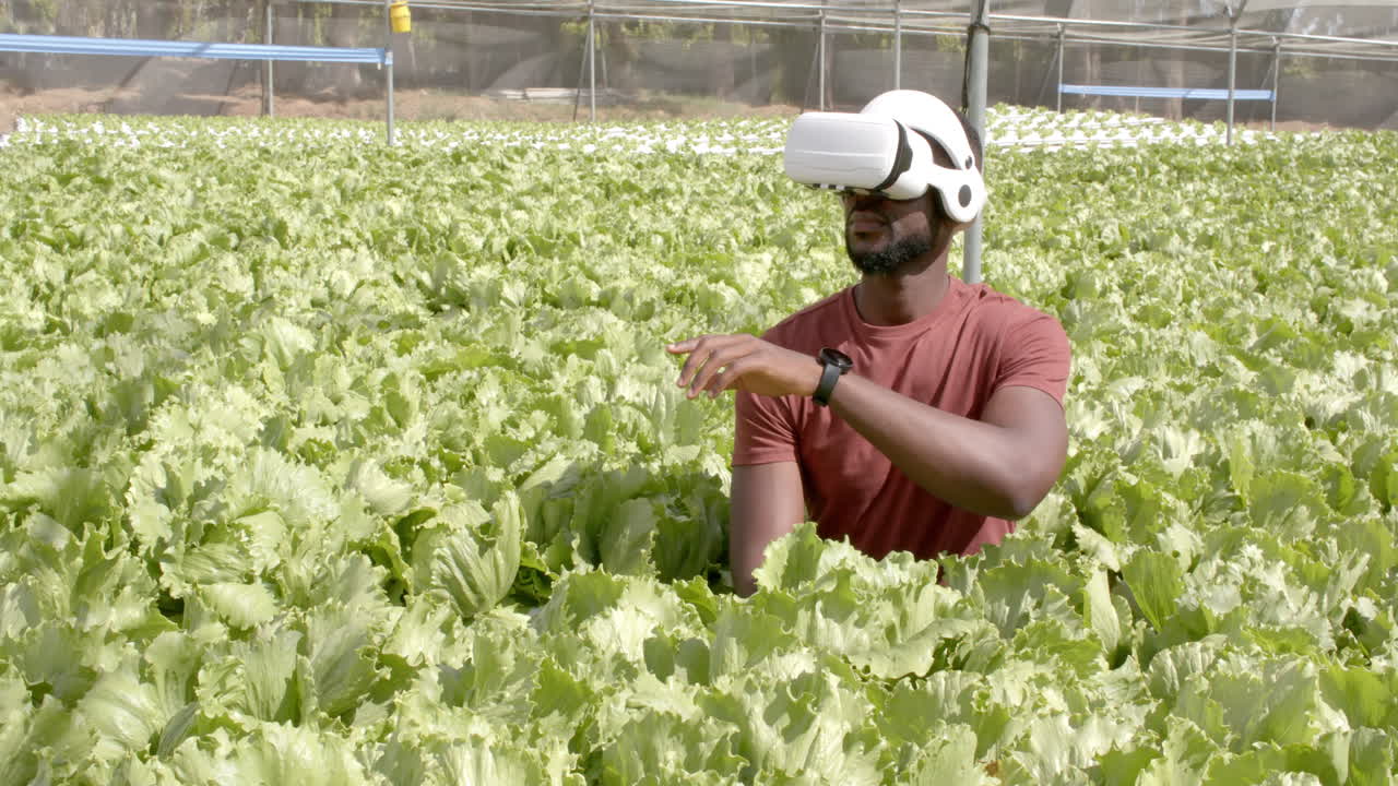 Using VR headset, african american man exploring hydroponic farm ...