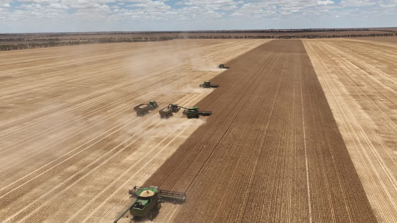 Premium stock video - Broad acre grain harvesting in western australia
