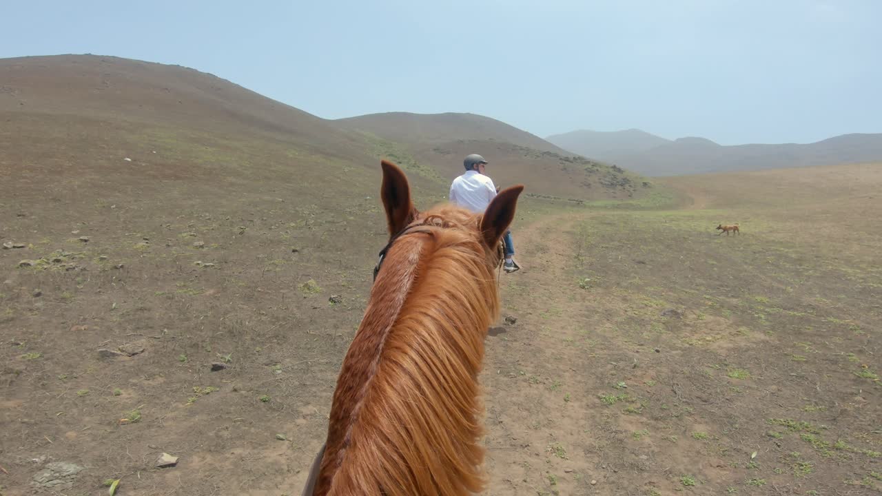 Chestnut horse riding pov on a deserted sunny hill, male rider Premium ...
