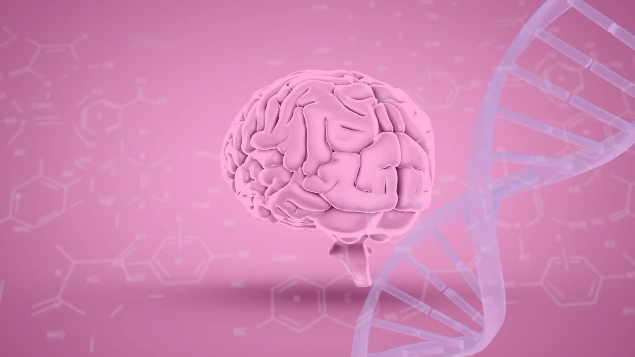 Premium stock video - Animation of dna strand, human brain and ...