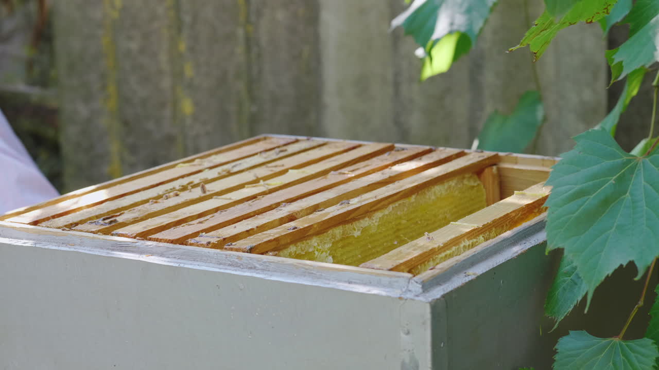 Premium stock video - Close-up - set frames in the beehive with bees ...