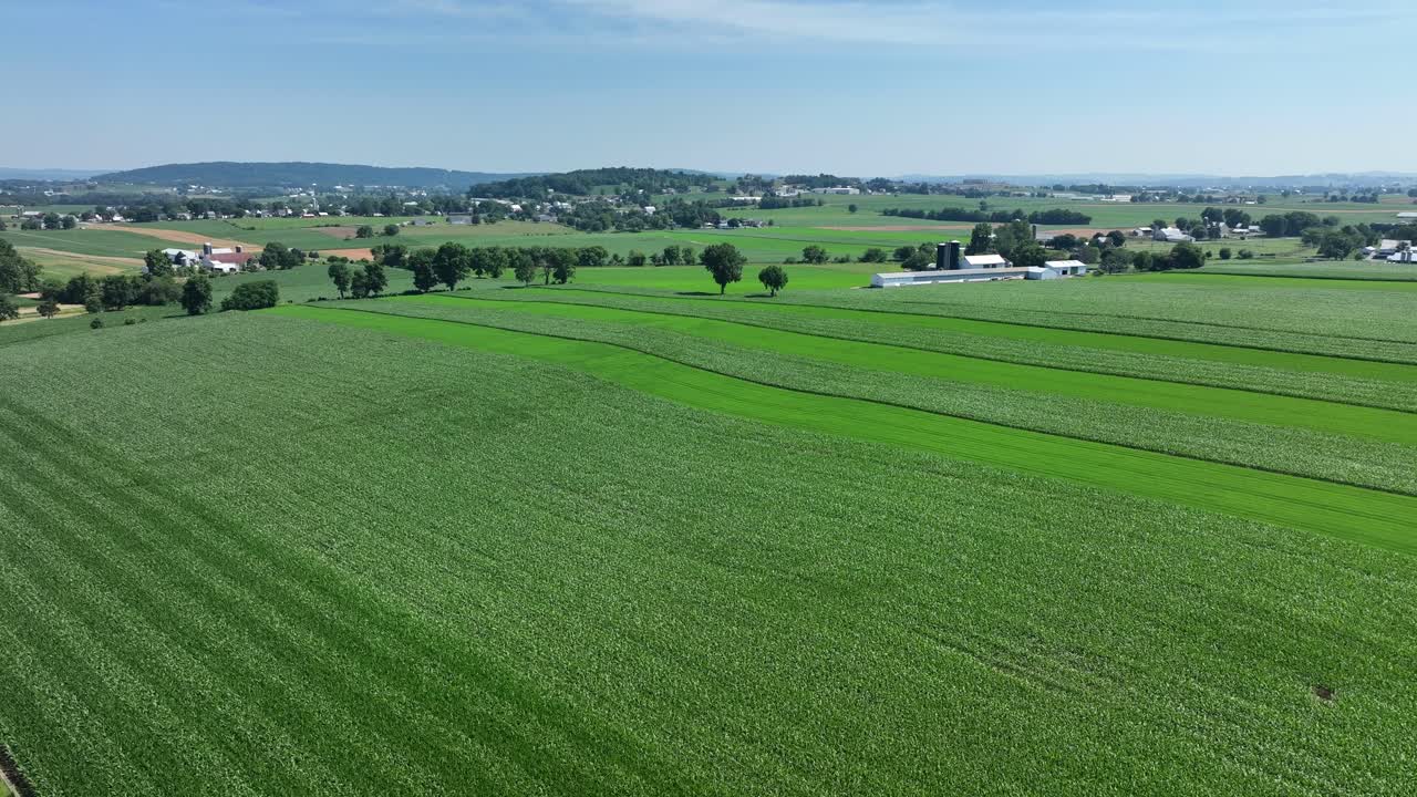 An aerial view of the lush green farmlands in the rural countryside of ...