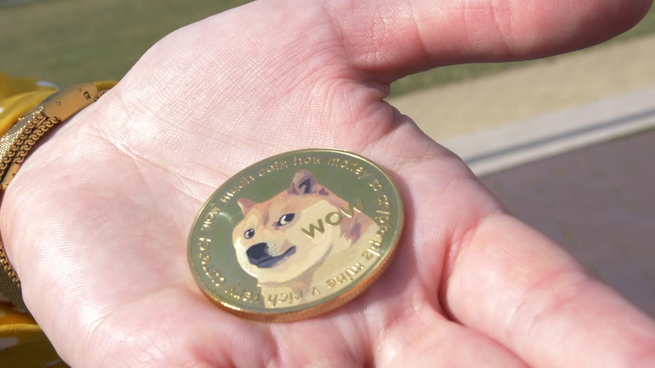 Premium stock video - Putting a dogecoin token in the palm of the hand