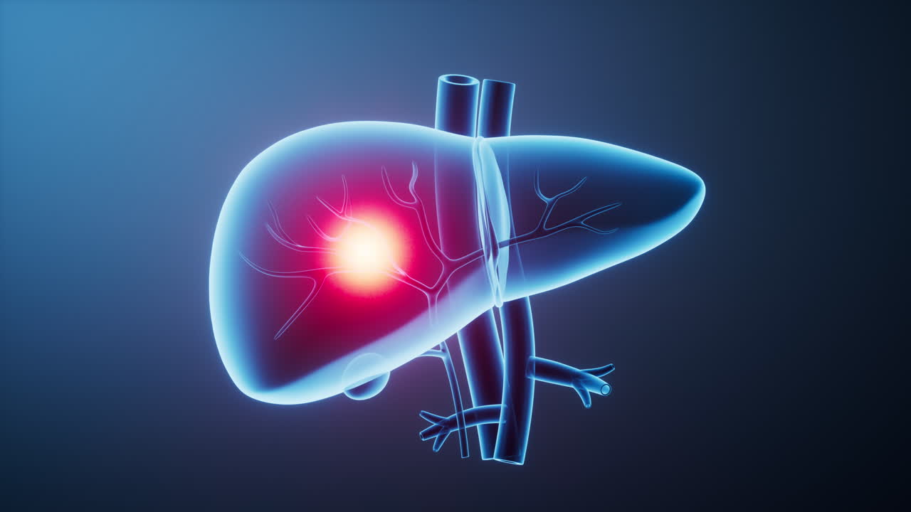 Liver organ with health care concept, 3d rendering. | Premium Stock ...