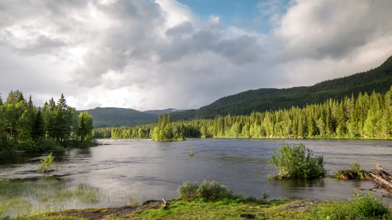 Norway rapids fern 4k 03 Premium Stock Video Footage
