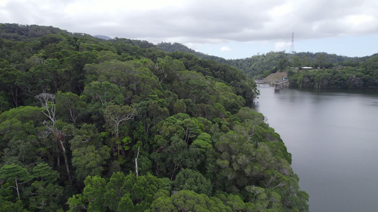 Tropical Rainforest At The Copperlode Falls Dam Near Cairns In ...