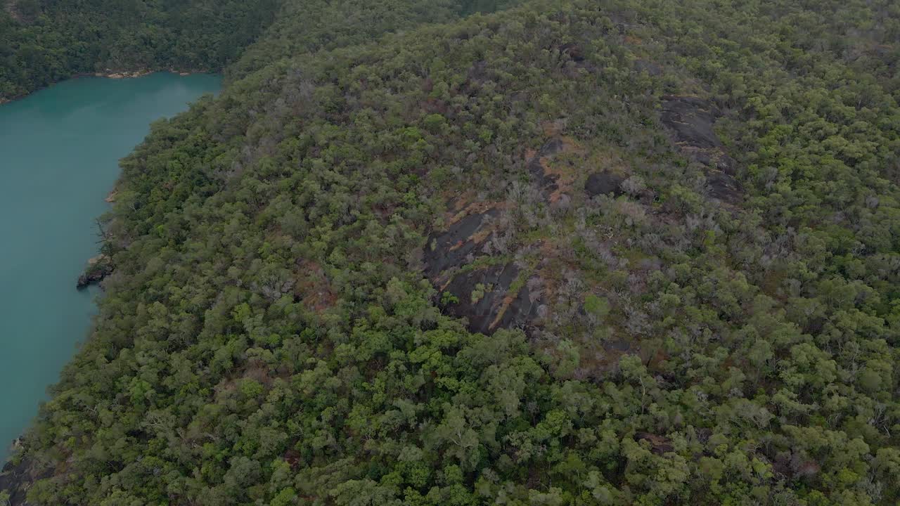 Tropical Forest At Hook Island Overlooking The Nara Inlet In Whitsunday ...