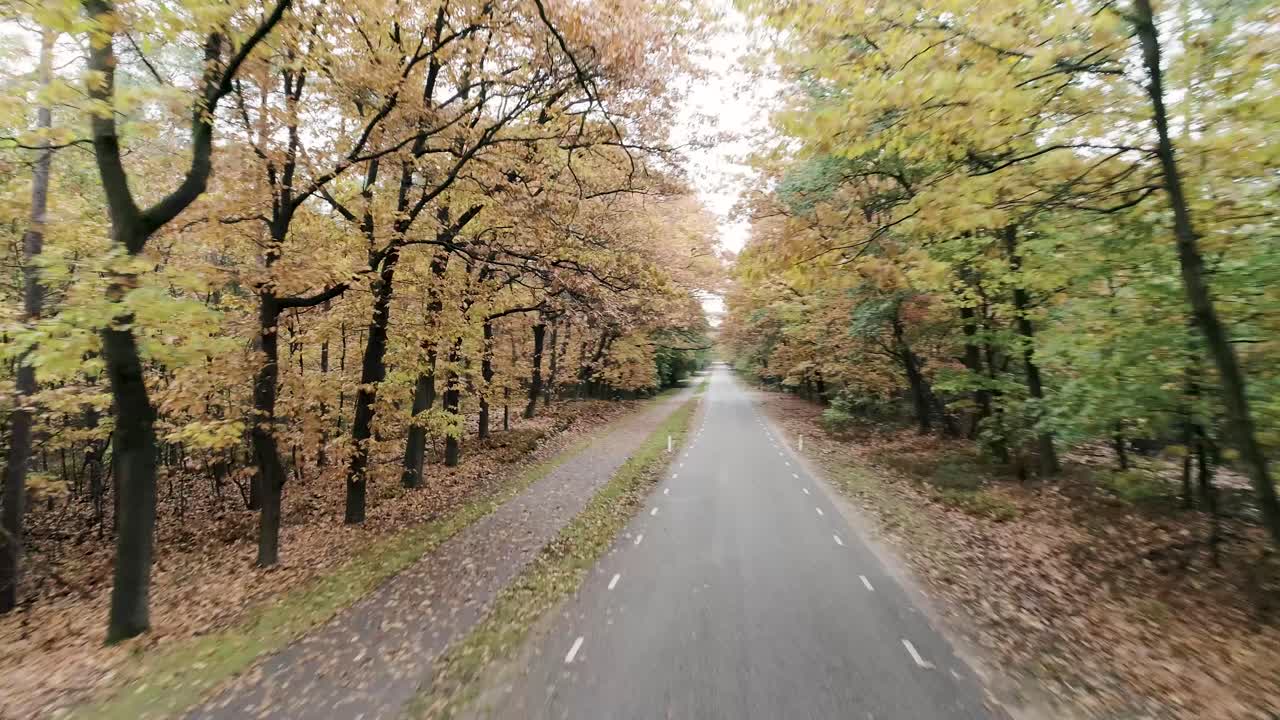 Premium stock video - Drone shot above road through the trees in autumn season