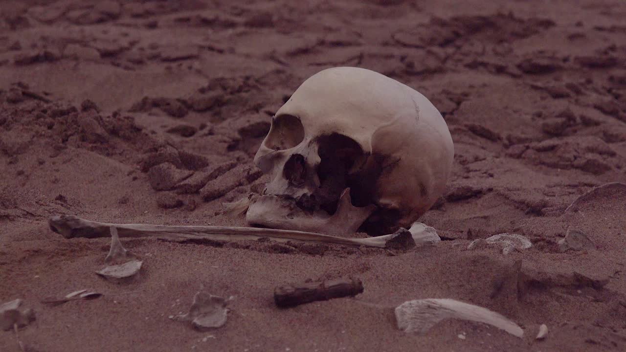 Premium stock video - Human skeleton skeletal remains lie in the sand ...