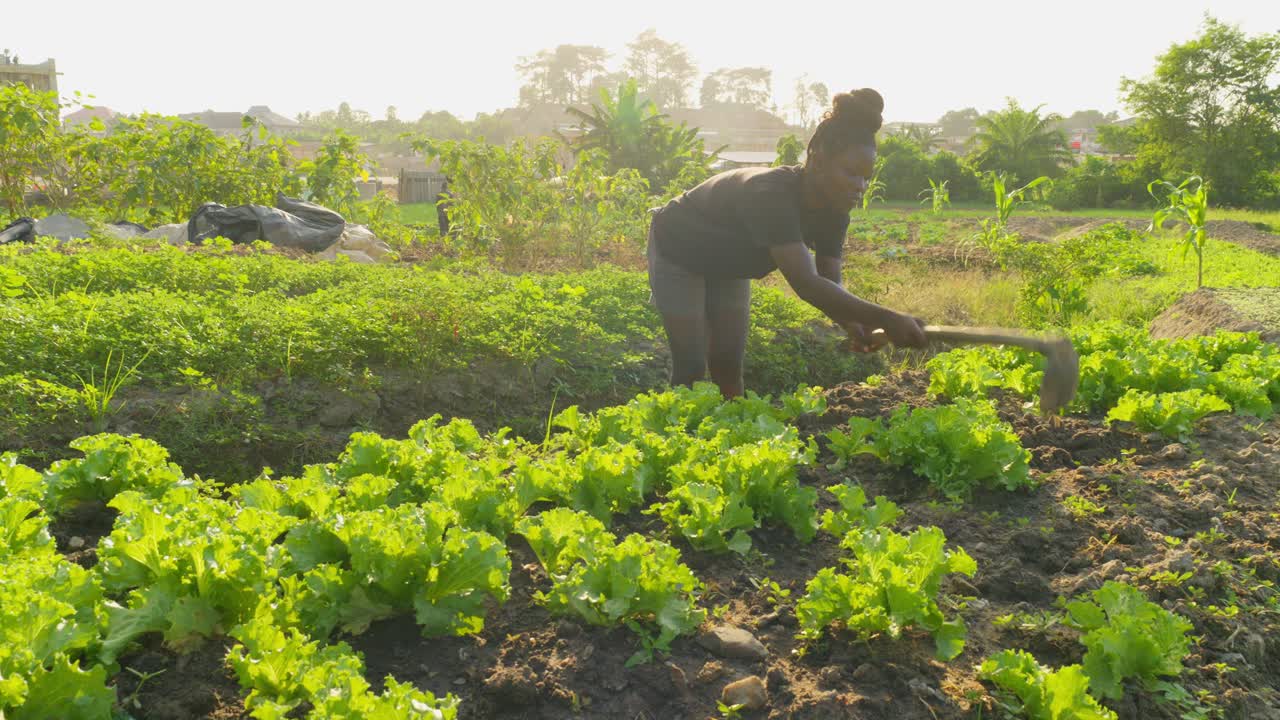 Premium stock video - Black female african farmer shaping the soil ...