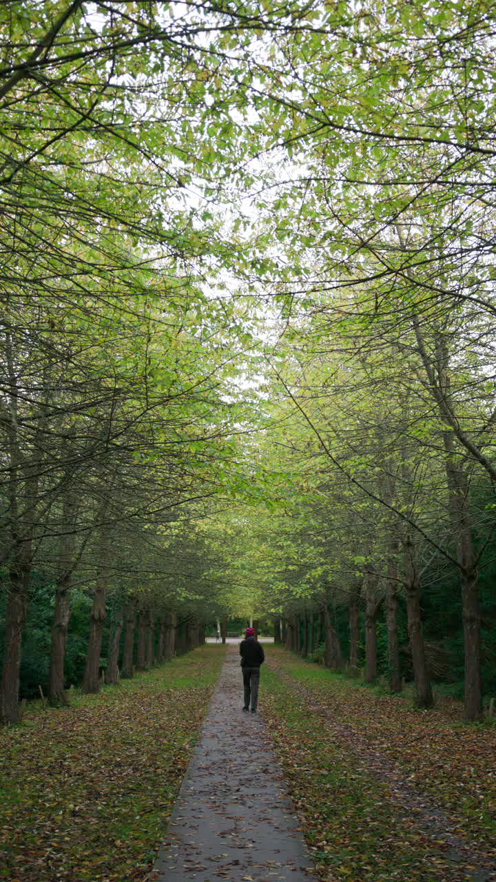 Woman walking through the Vestre Cemetery, in a large park setting in ...
