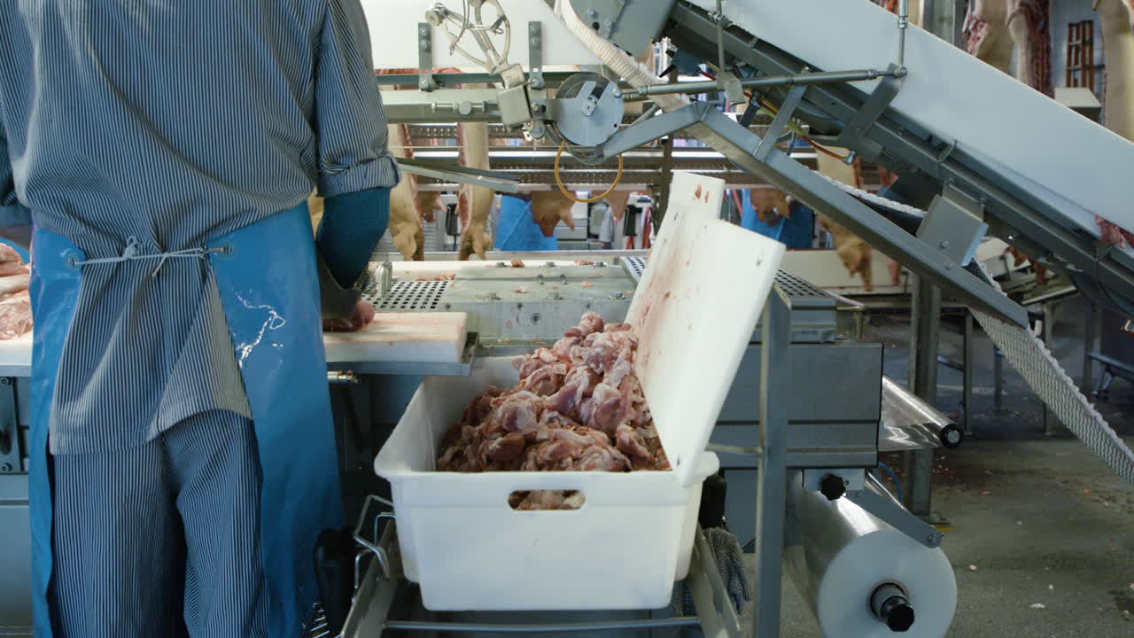 Premium stock video - Worker in big industrial slaughterhouse in ...